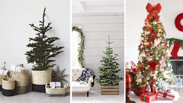 Original ideas to decorate the base of the Christmas tree - Visual Eyes ...